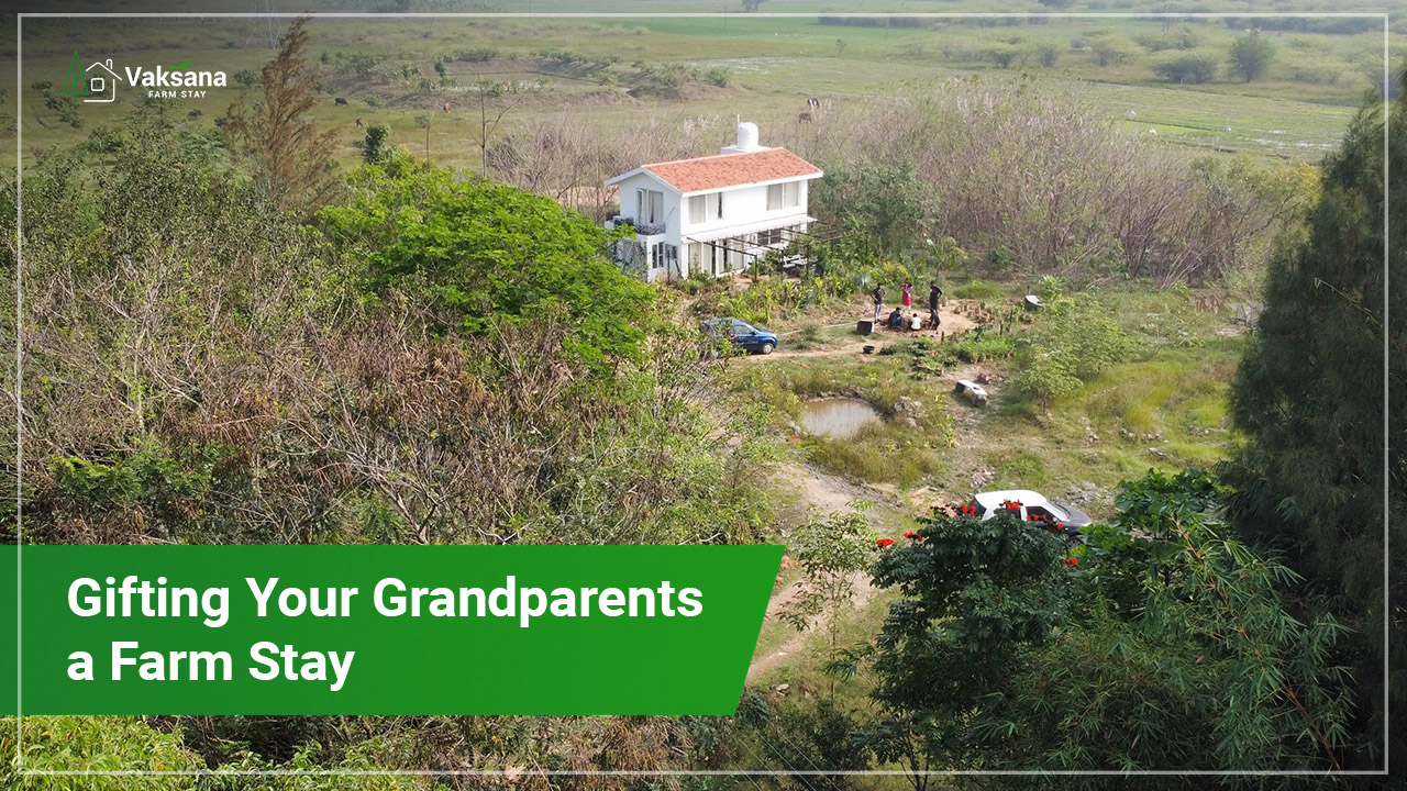 Gifting Your Grandparents a Farm Stay - Vaksana Farm Stay