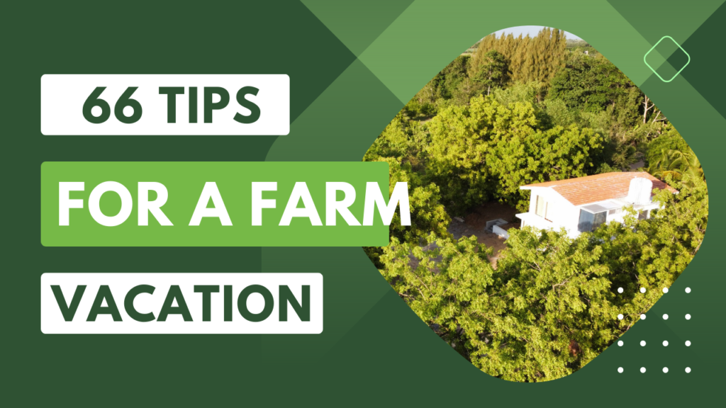 66 Tips for a Fantastic Farm Vacation - Vaksana Farm Stay